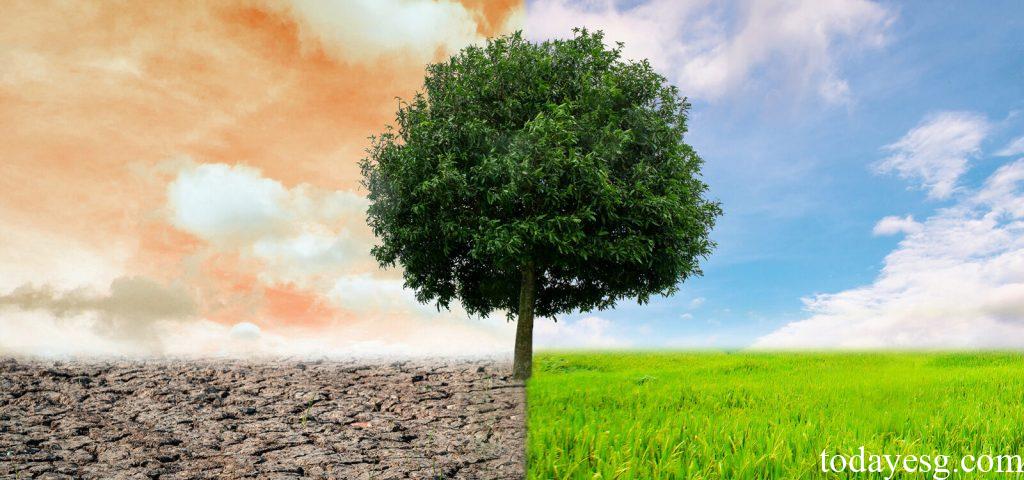 证券存托与清算公司发布气候金融风险报告 - TodayESG