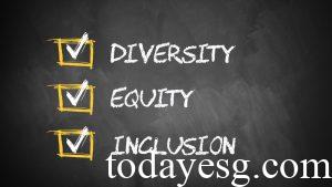 DEI准则的起源和发展 - TodayESG