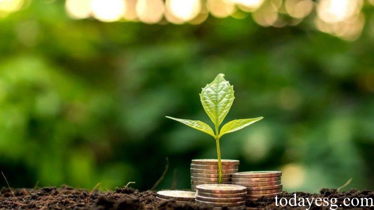 中国央行与新加坡央行成立绿色金融工作组 - TodayESG