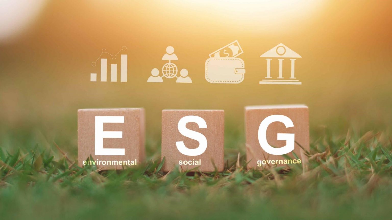 主页 - ESG信息网