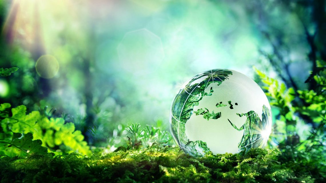 Hong Kong Plans to Establish Green Taxonomy - ESG Information Website