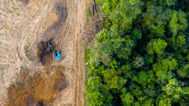 新加坡计划建立企业气候披露规则 - ESG信息网