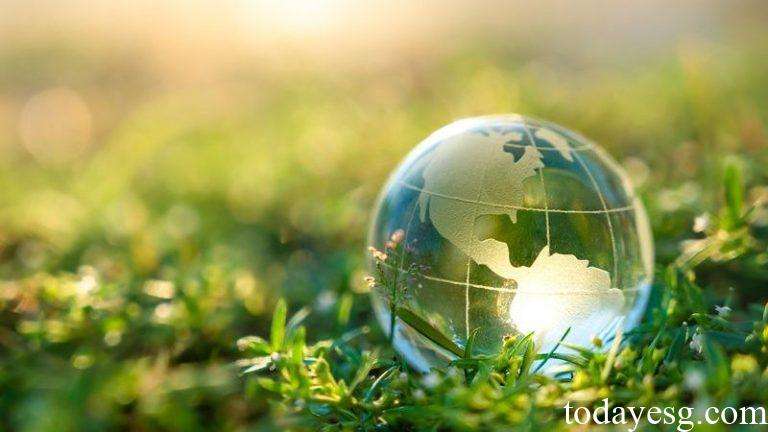 EY Releases Fifth Edition of Corporate Climate Disclosure Report - TodayESG