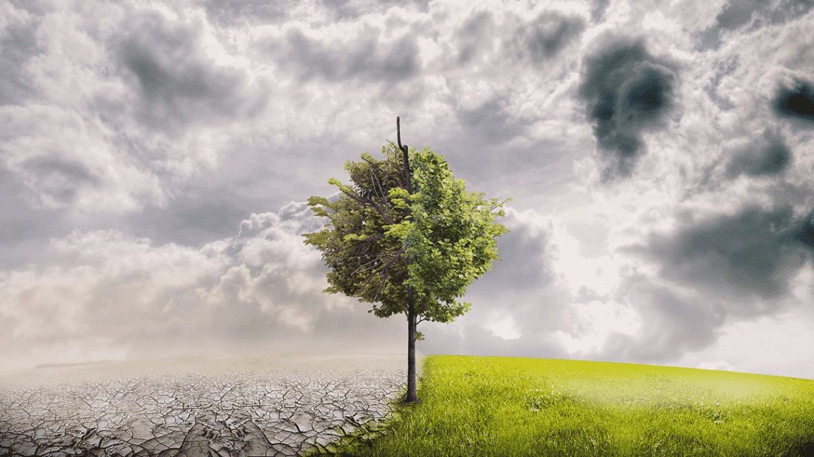 世界经济论坛全球风险报告将气候风险列于首位 - TodayESG