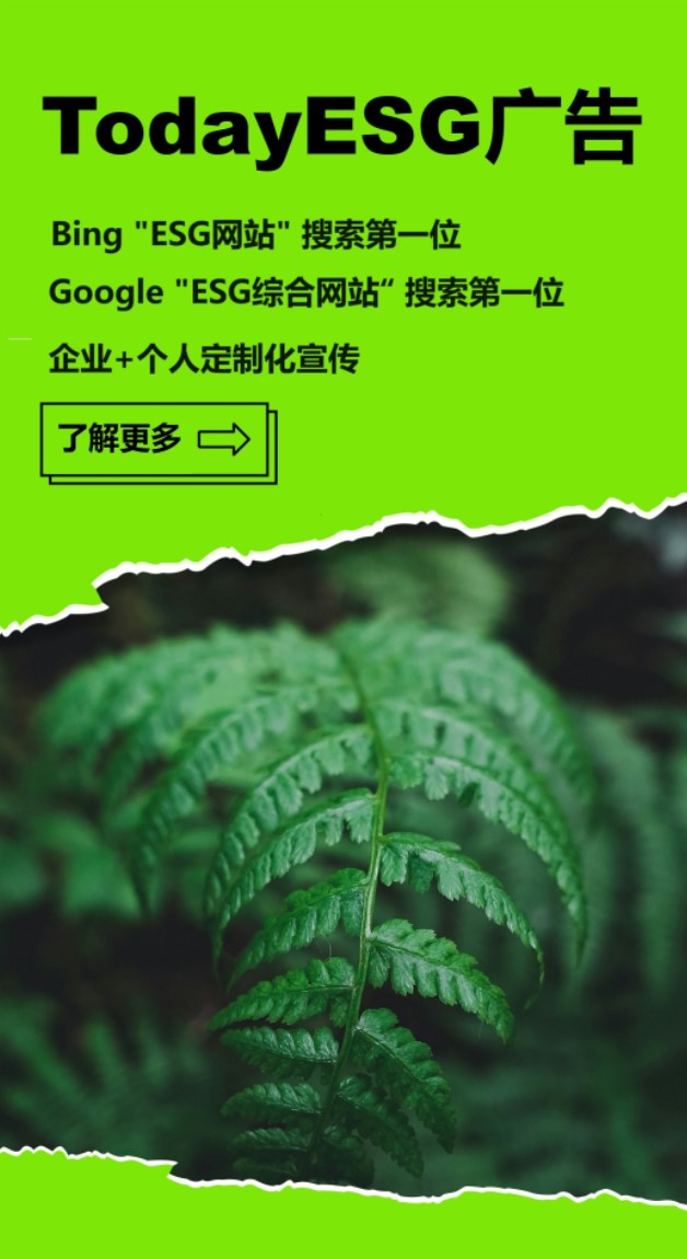 DEI准则的起源和发展 - TodayESG