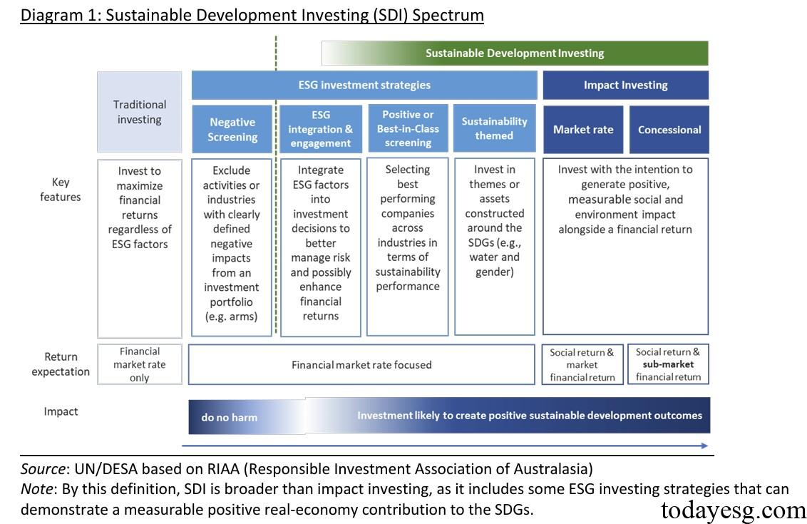 What is Sustainable Development Investing? What is the difference between ESG investing and ...